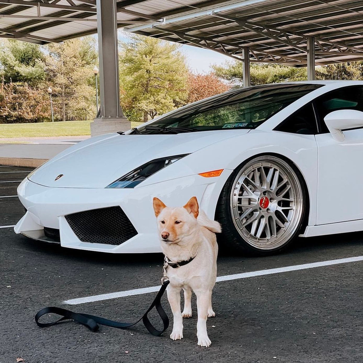 AR Signature 20" BBS LM for Lamborghini Gallardo Fitment Wheelset – ARMTWKZ